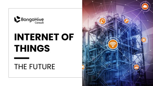 Internet of Things (IOT): What the Future Holds | BongoHive