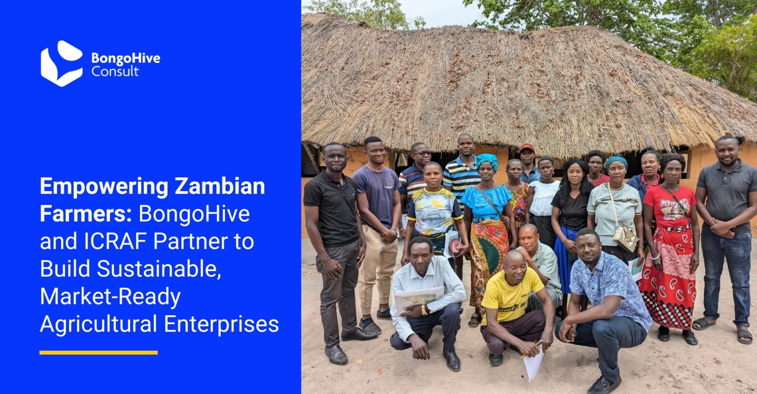 Empowering Zambian Farmers: BongoHive and ICRAF Partner to Build ...